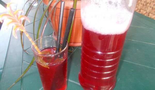 Домашен сироп от дренки - Моята Рецепта