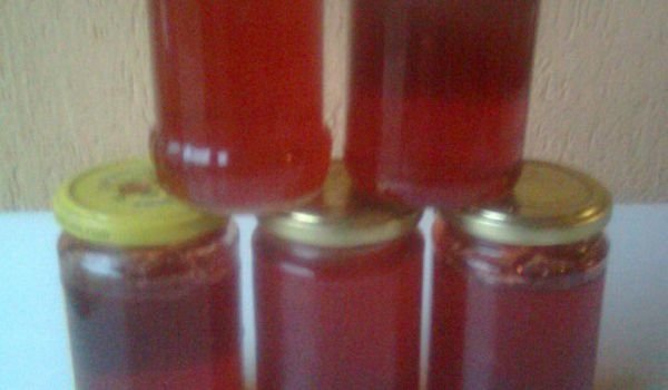 Желе с дренки - Моята Рецепта